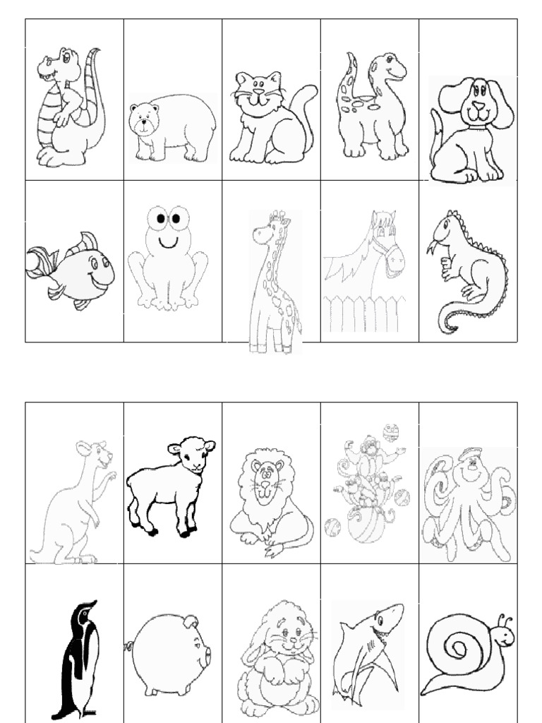 Jetoane Animale Bingo | PDF