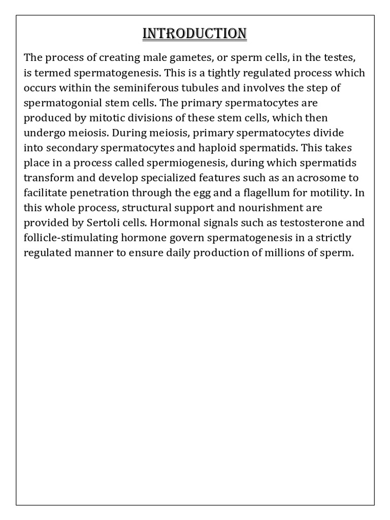 Spermatogenesis Bio Investigatory Project | PDF | Endocrine System ...