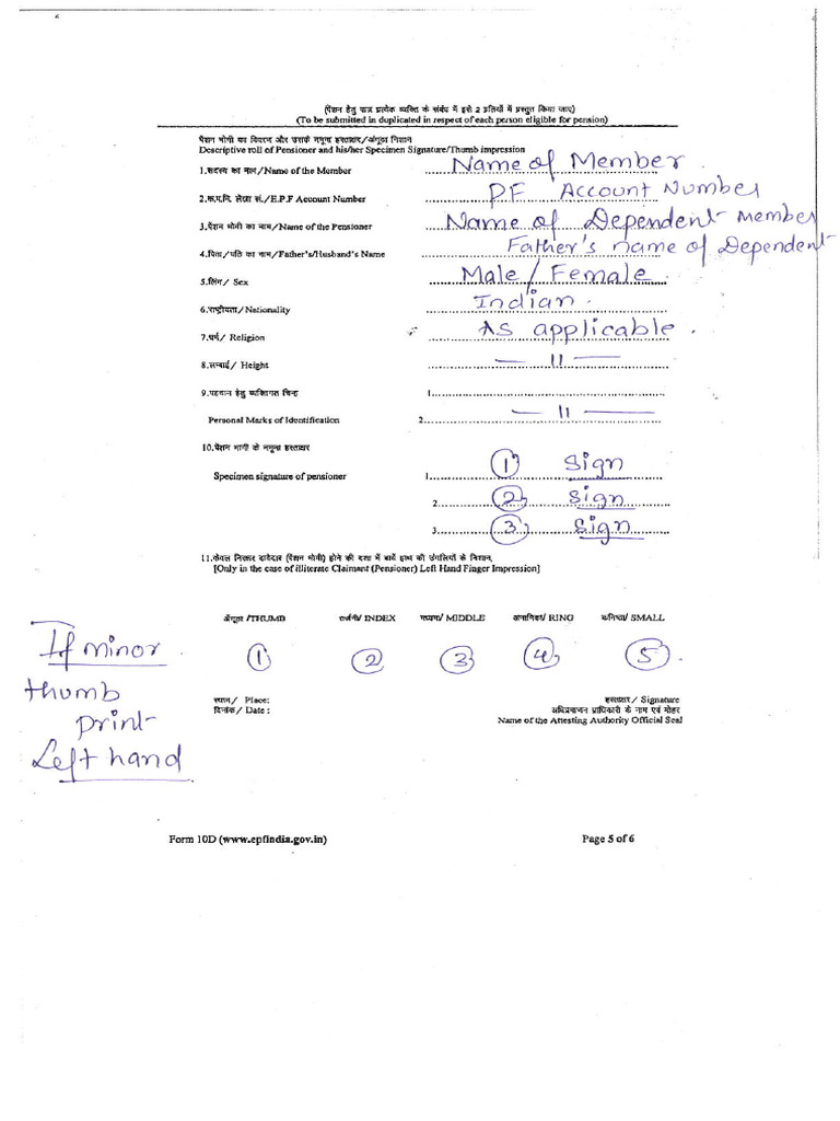 Descriptive Role Sample | PDF