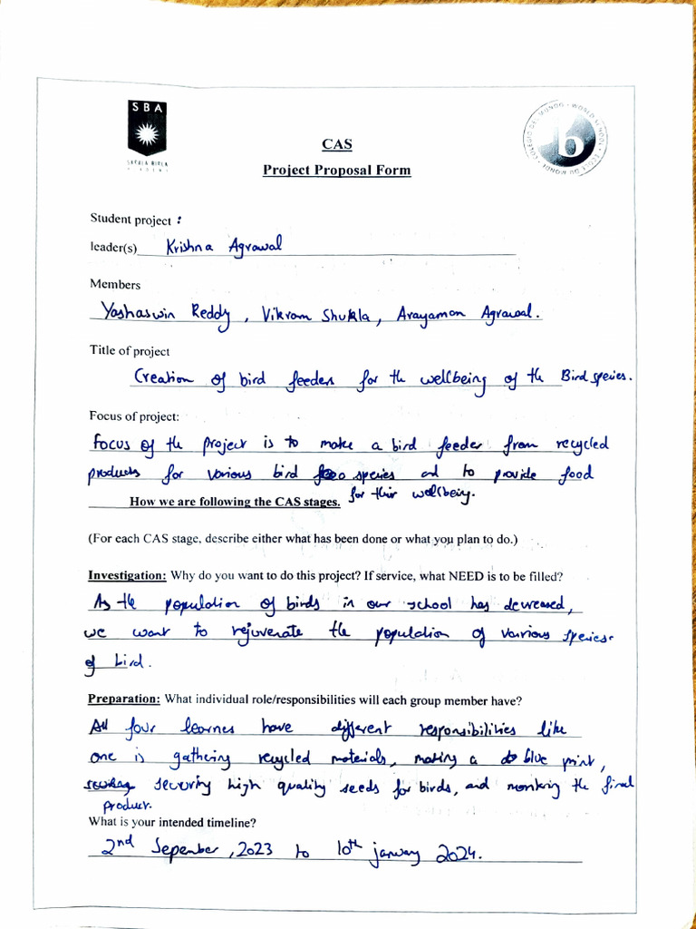 CAS Project Proposal From | PDF