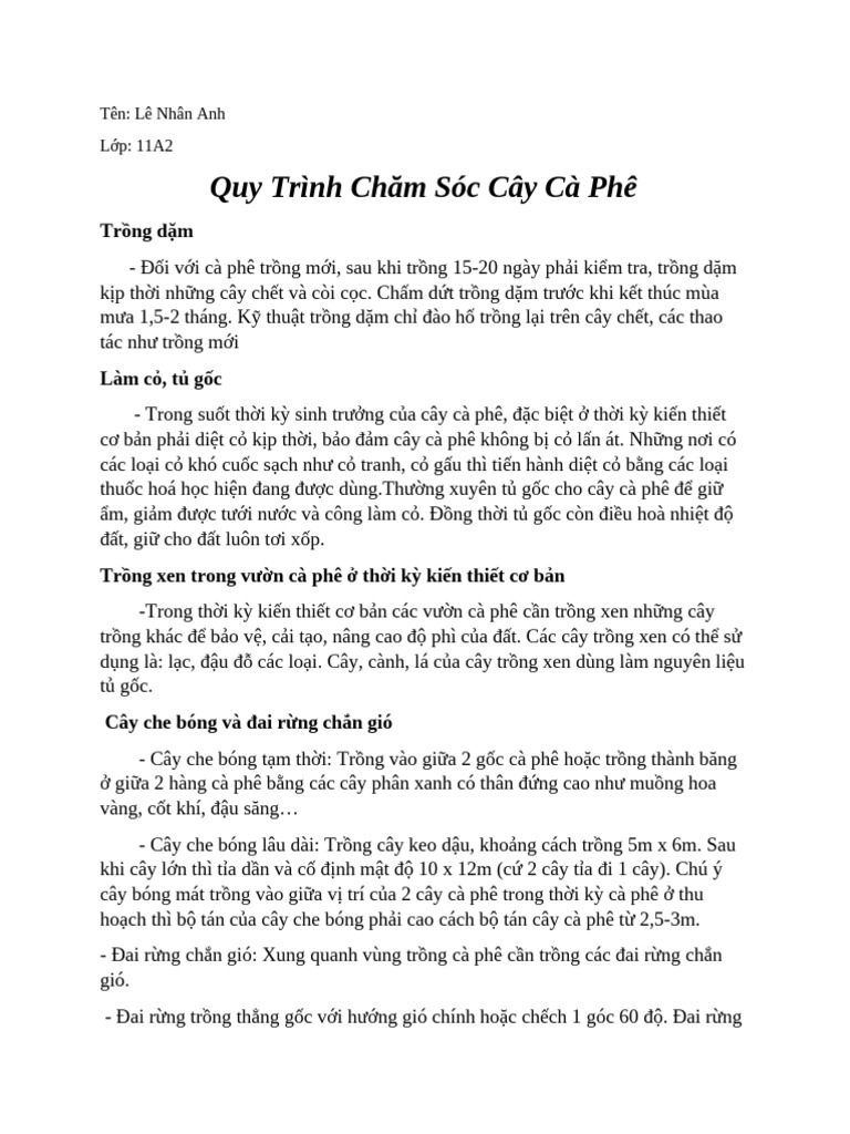 Quy Trinh Cham Soc Cay CA Phe | PDF