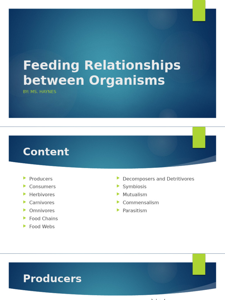 Feeding Relationships Between Organisms | PDF | Food Web | Herbivore