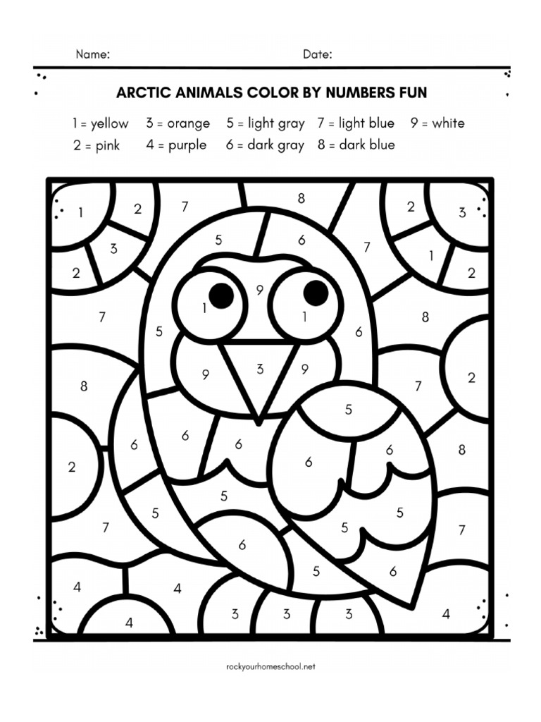 Arctic Animals Color by Number Activities Pack | PDF