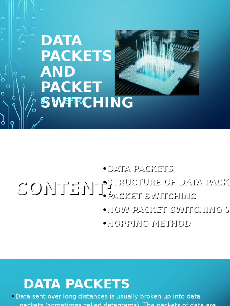 Data Packets and Packet Switching | PDF | Network Packet | Internet Protocols