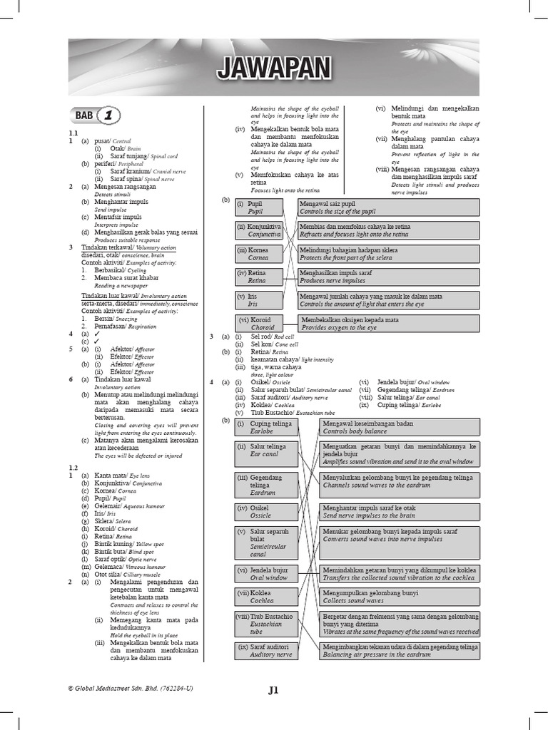 Jawapan Modul Perfect Sains Ting 3 | PDF
