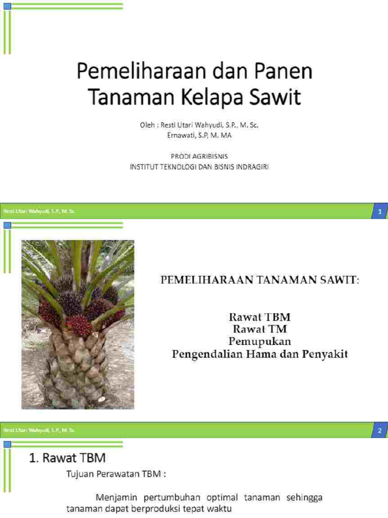 Pemeliharaan Dan Panen Tanaman Kelapa Sawit - 11zon | PDF