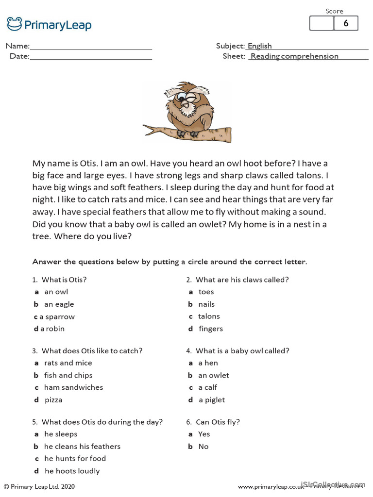 Reading Comprehension - Otis the Owl | PDF