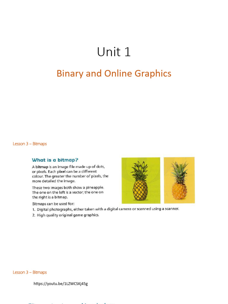Lesson 3 - Bitmaps | PDF