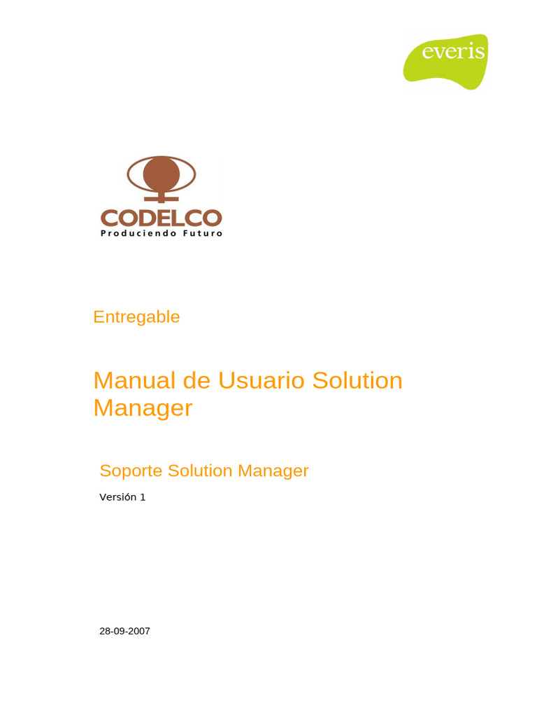 SOLMAN - Manual de Usuario Solution Manager | PDF | Gestión de proyectos | Business
