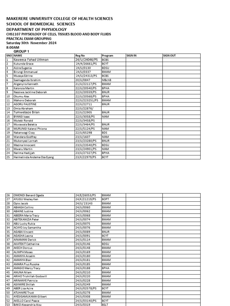 CHS 1107 Practical Grouping | PDF