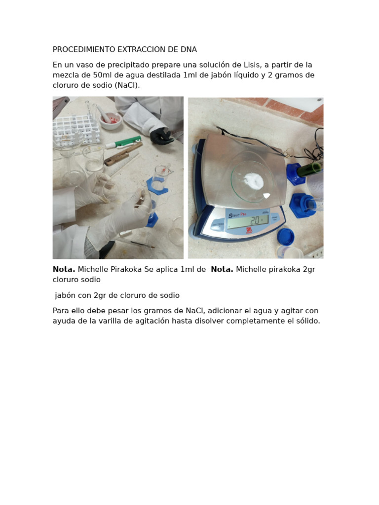 Extracción de ADN de Fresa: Procedimiento Detallado | PDF