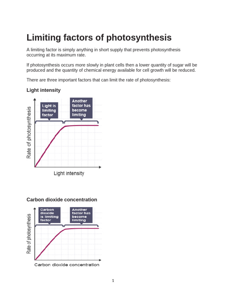 Limiting Factors of Photosynthesis | PDF | Photosynthesis | Chlorophyll