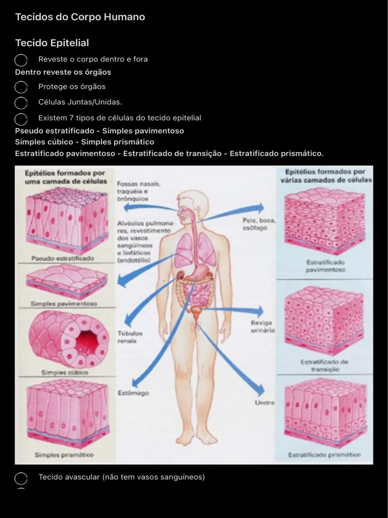 Tecidos Do Corpo Humano | PDF