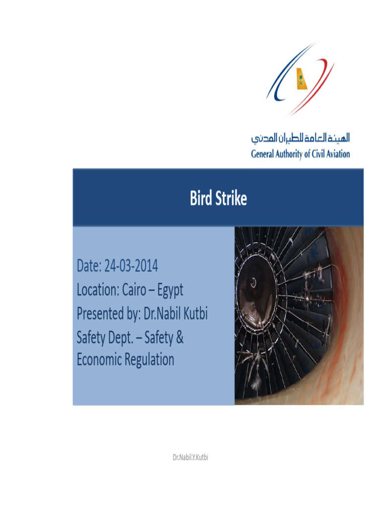 Risk Reduction Program - GACA | PDF | Aviation | Transport