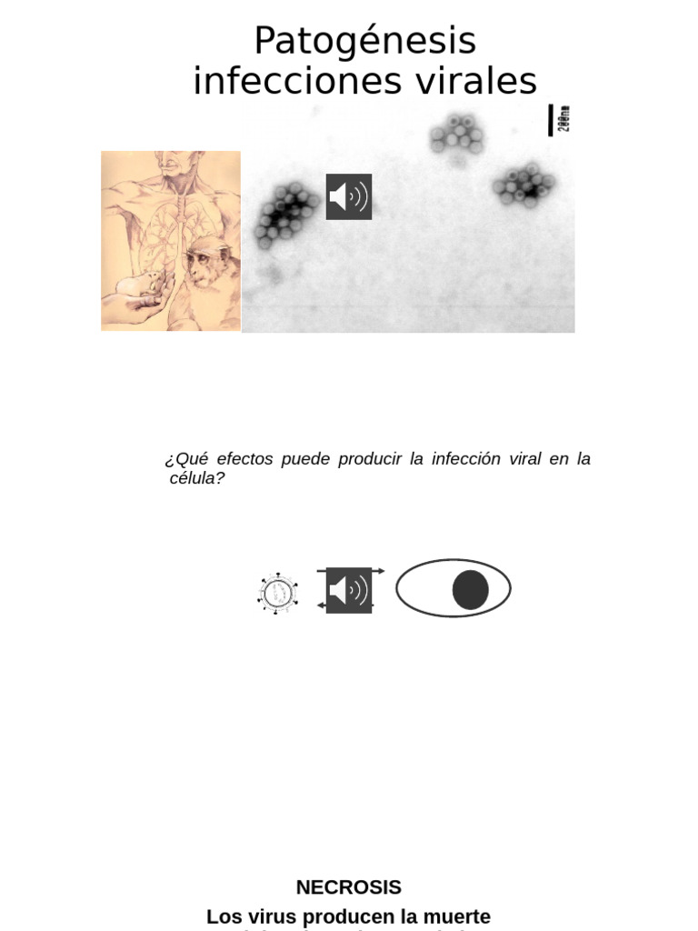Patogénesis Viral. 2 | PDF | Virus | Apoptosis