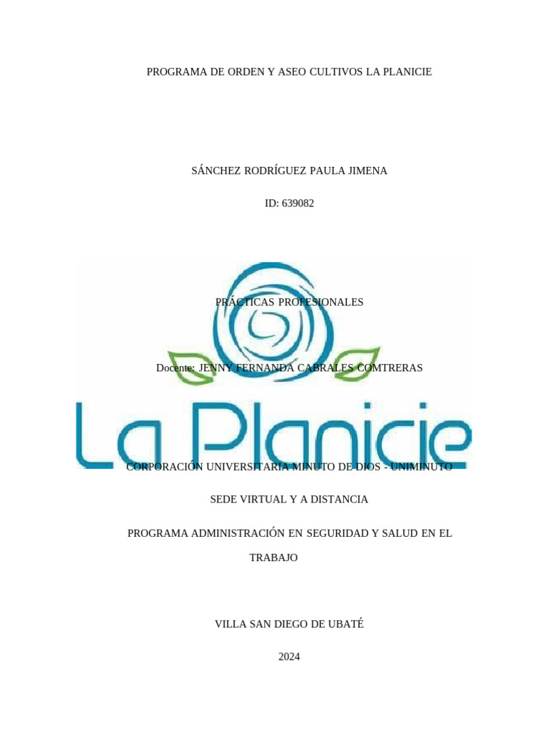 Producto Final Practica Profesional Ps Final | PDF | Business | Seguridad y salud ocupacional