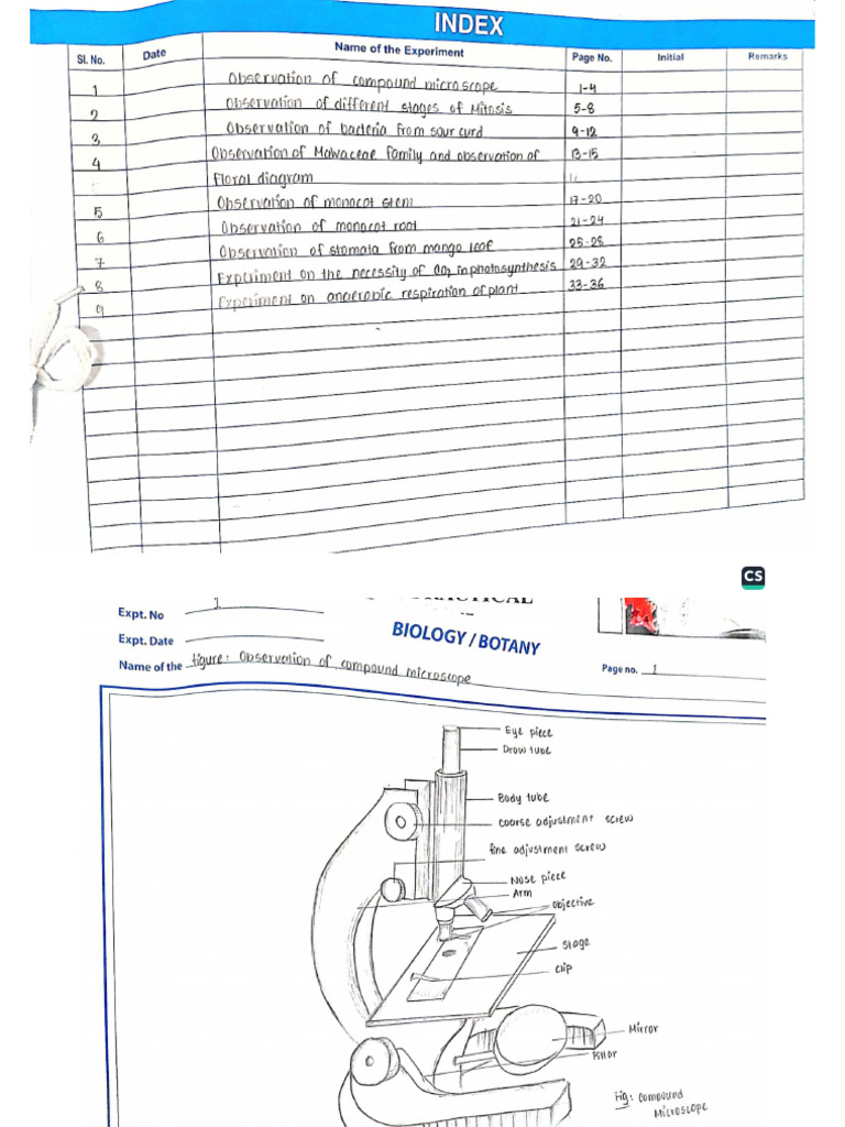 Bio Practical (1st Year) | PDF