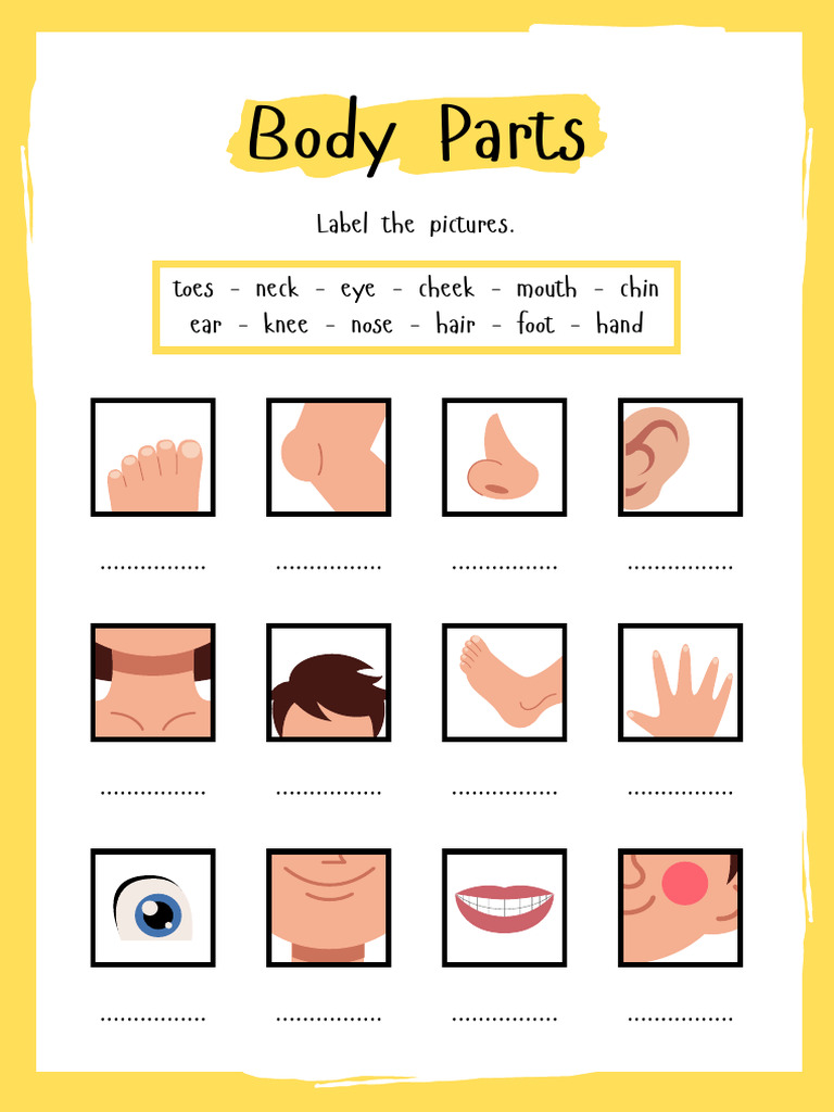 Body Parts Vocabulary Worksheet in Yellow White Cute Style | PDF