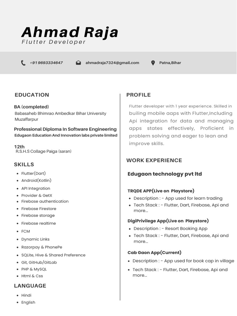 Resume Ahmad Raja | PDF