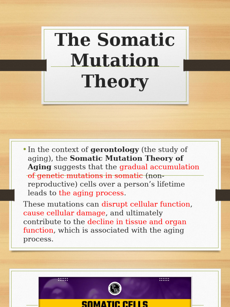The Somatic Mutation Theory | PDF | Mutation | Ageing