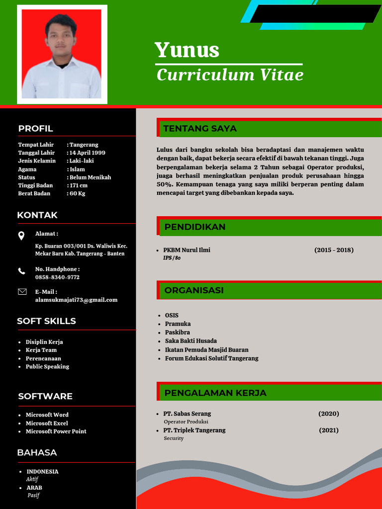 CV Yunus | PDF