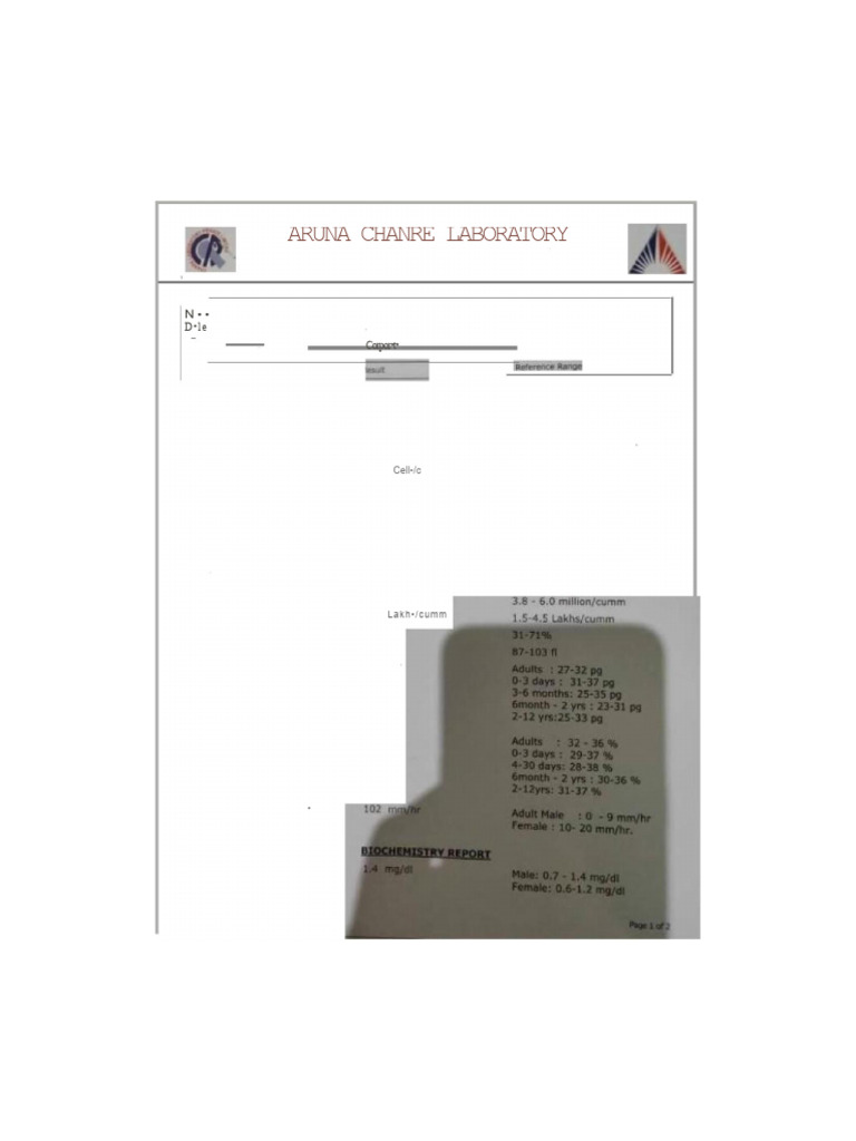 BLOOD REPORT LEUKEMIA | PDF