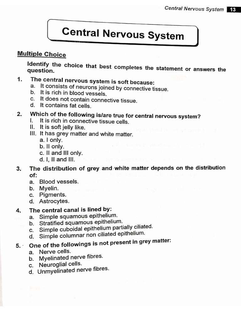 CNS Histology MCQ | PDF