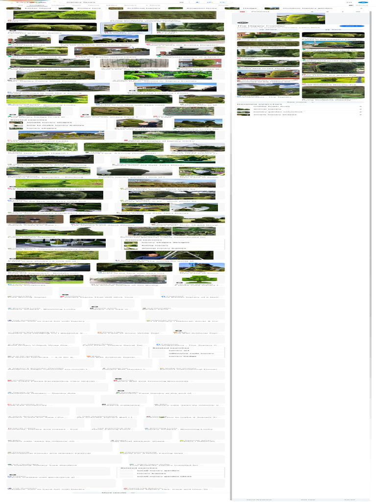 Topiary Faces - Google Search | PDF