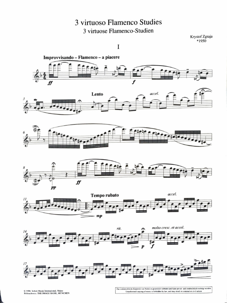 K. Zgraja Flamenco Studies | PDF | Musical Forms | Elements Of Music