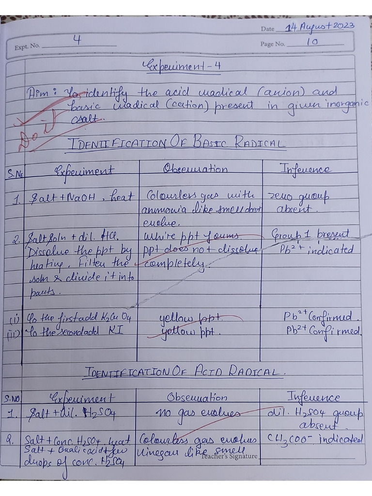 Chemistry Practicals | PDF