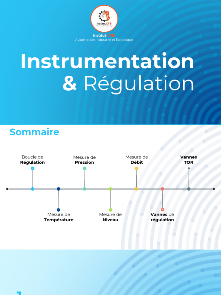 Instrumentation-et-Régulation-Animated RV04 | PDF | Thermomètre | Calibrage