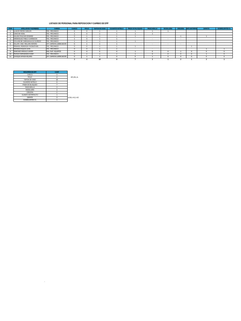 Listado de Epp para Reposicion | PDF