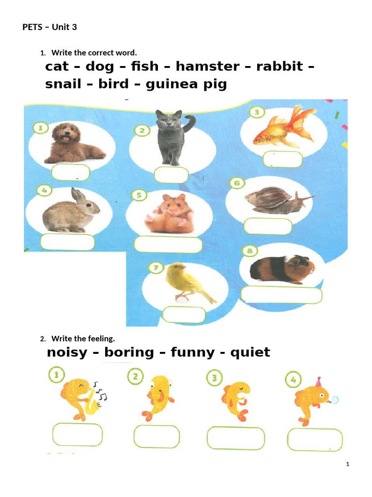 Unit 3 - Pets - Open Up 1 | PDF