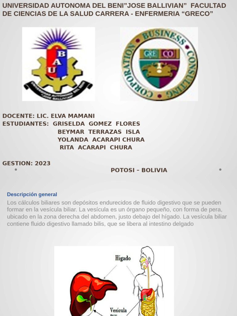 Vilis | PDF | Bilis | Vesícula biliar