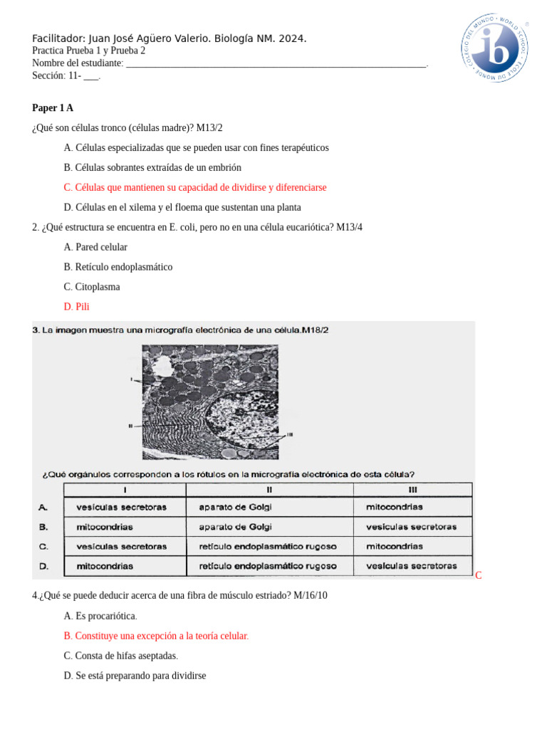 Practica para El II Examen. Prueba 1 y Prueba 2 - Año11 - 2024 ...