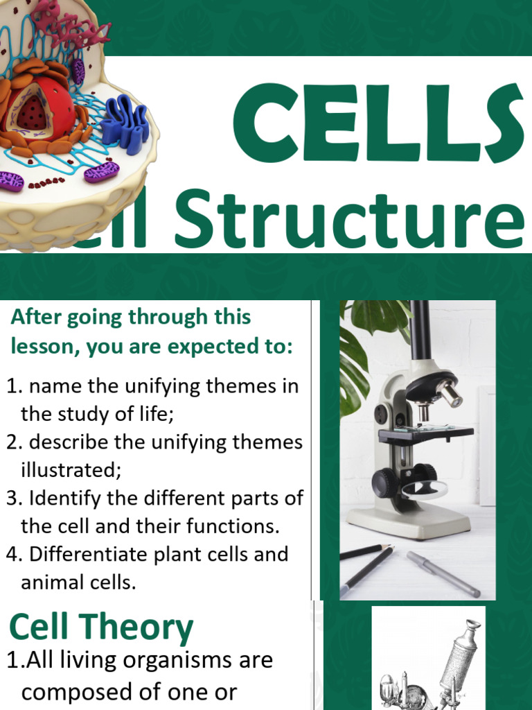 2. Life Science Lesson 2 Cells and Cell Structures | PDF | Cell (Biology) | Endoplasmic Reticulum