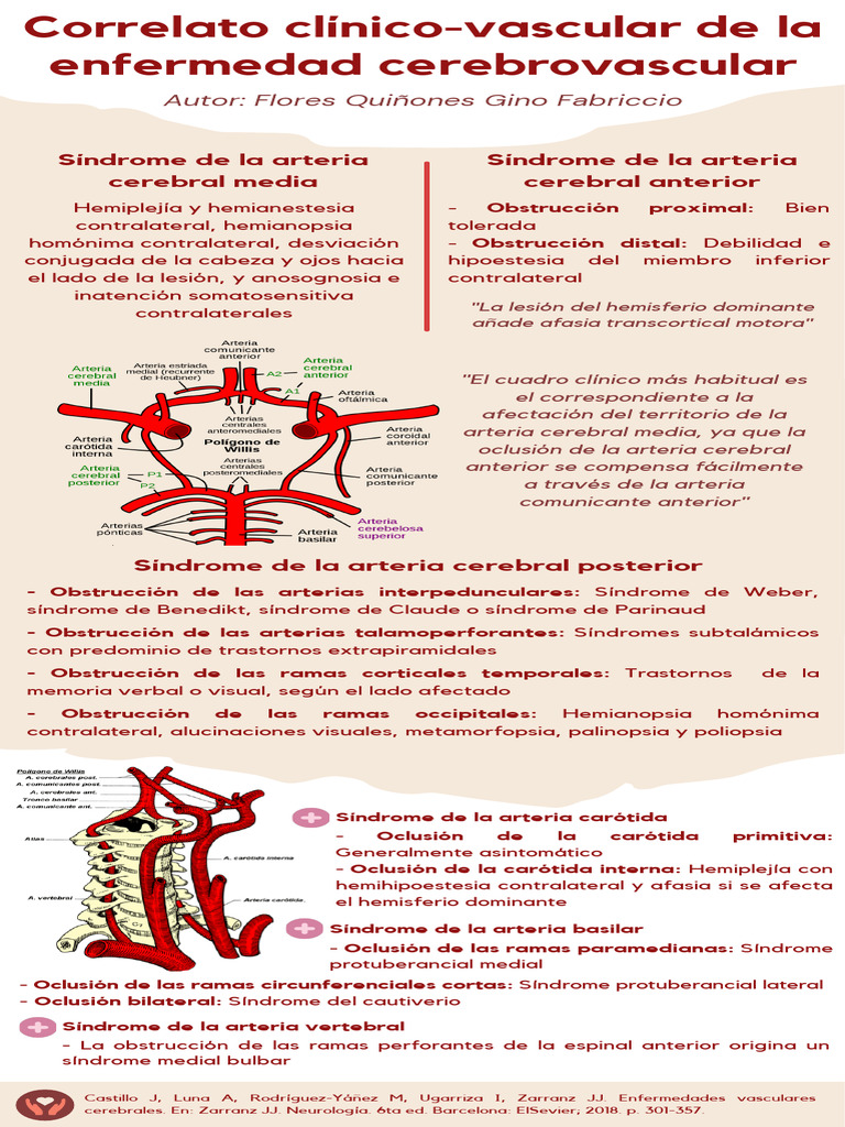 Correlato Clínico-Vascular de La Enfermedad Cerebrovascular | PDF ...