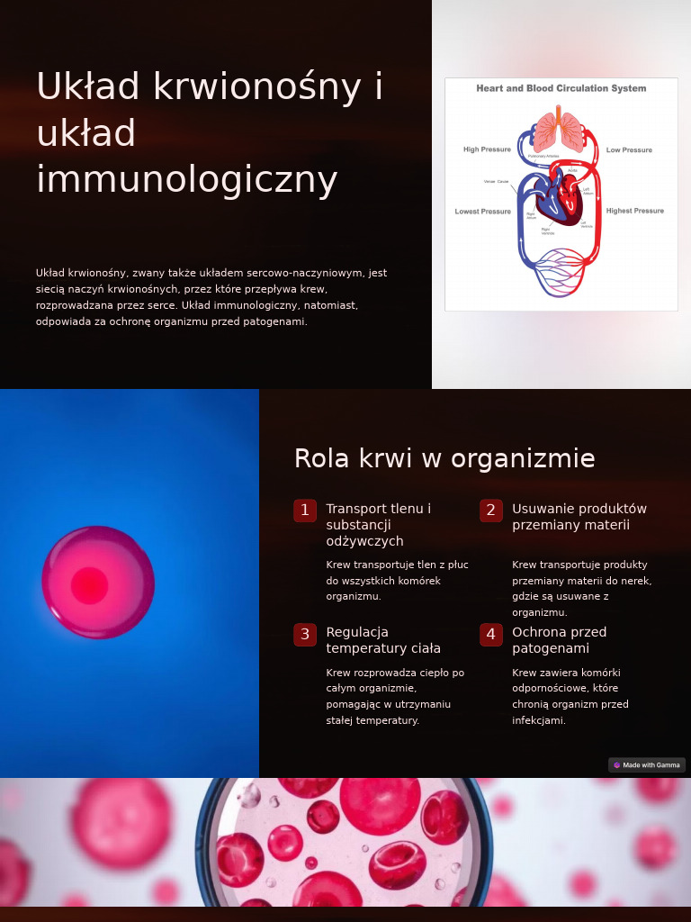 Uklad Krwionosny I Uklad Immunologiczny | PDF
