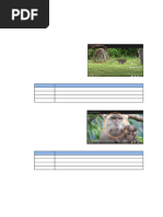 Focal Animal Sampling Methods Explained | PDF | Sampling (Statistics ...