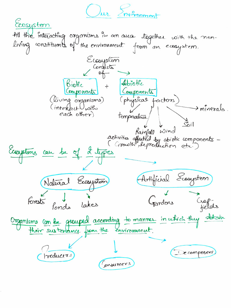 Our Environment Notes | PDF | Natural Environment | Systems Ecology