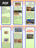 Competencia Intraespecífica - Interespecífica. | PDF | Depredación ...