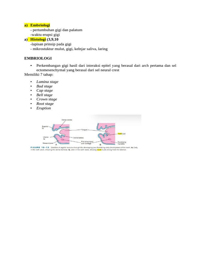 Laporan Embriologi DAN HISTO | PDF