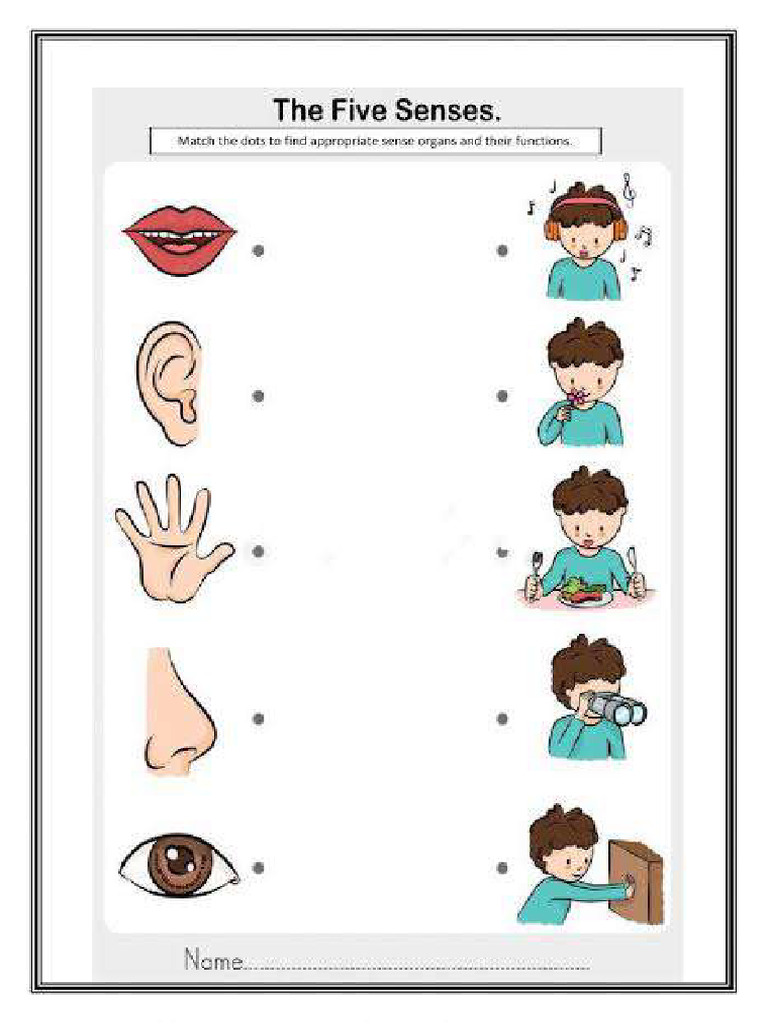 Five Senses | PDF