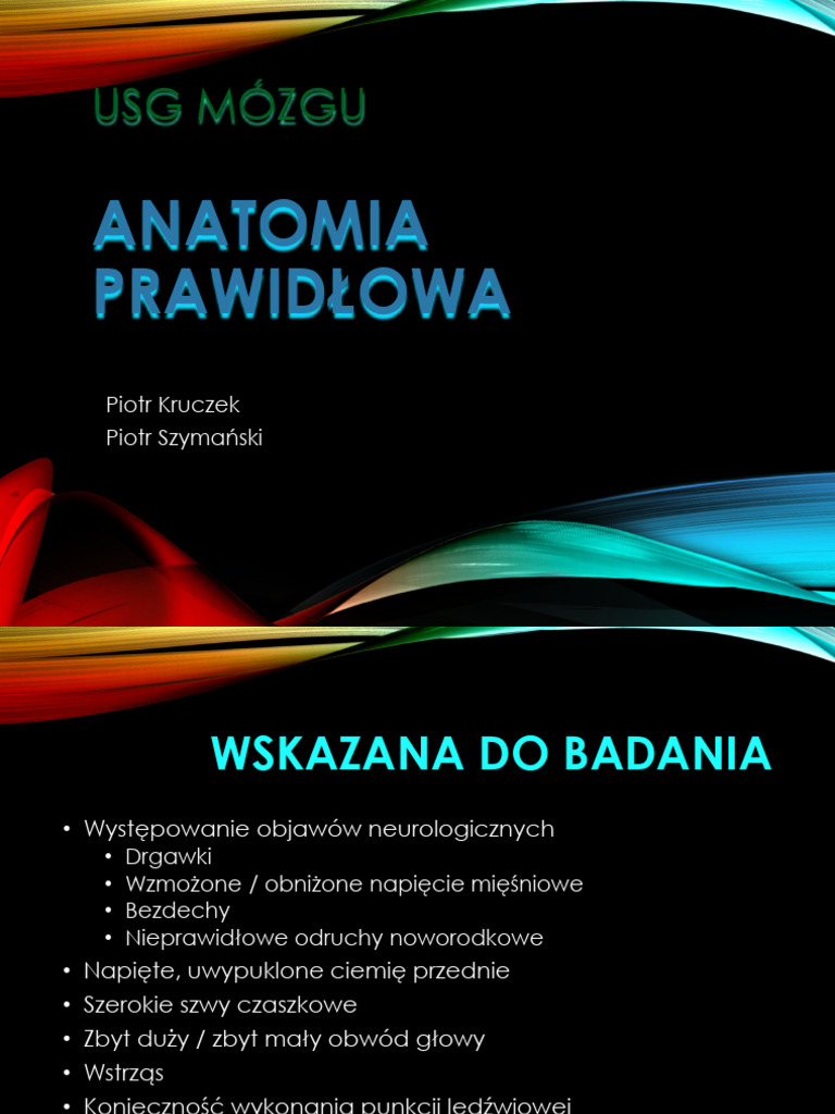 04 - Anatomia Mózgu PDF | PDF