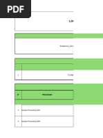 FORMATO IRL (Ex ODI) | PDF