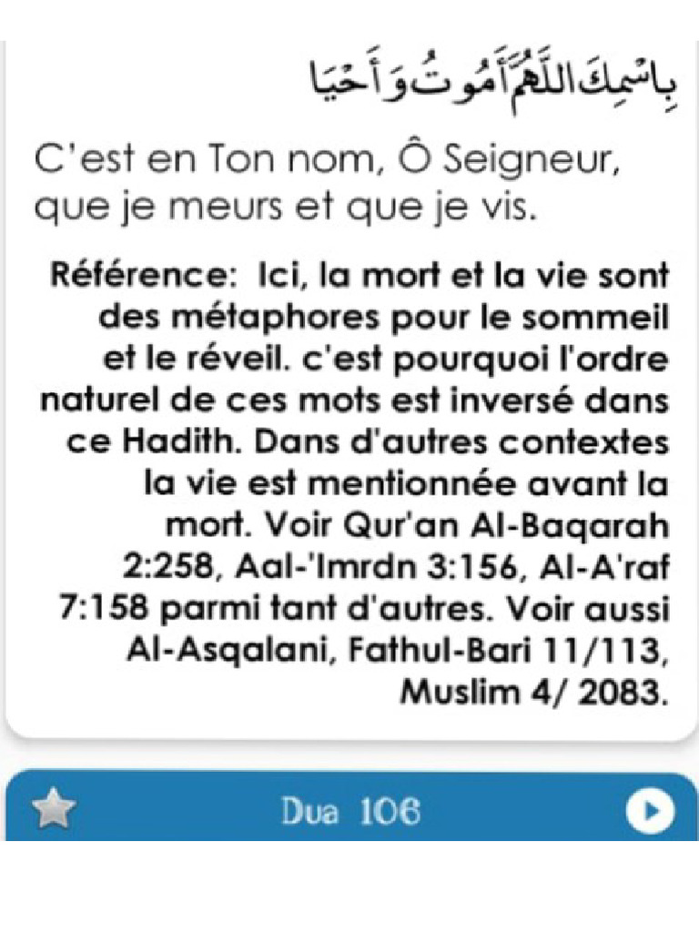 ACE Scanner - 2024 - 11 - 29 | PDF