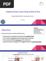 Footand Ankle Anatomy Labeling Lab | PDF | Foot | Ankle