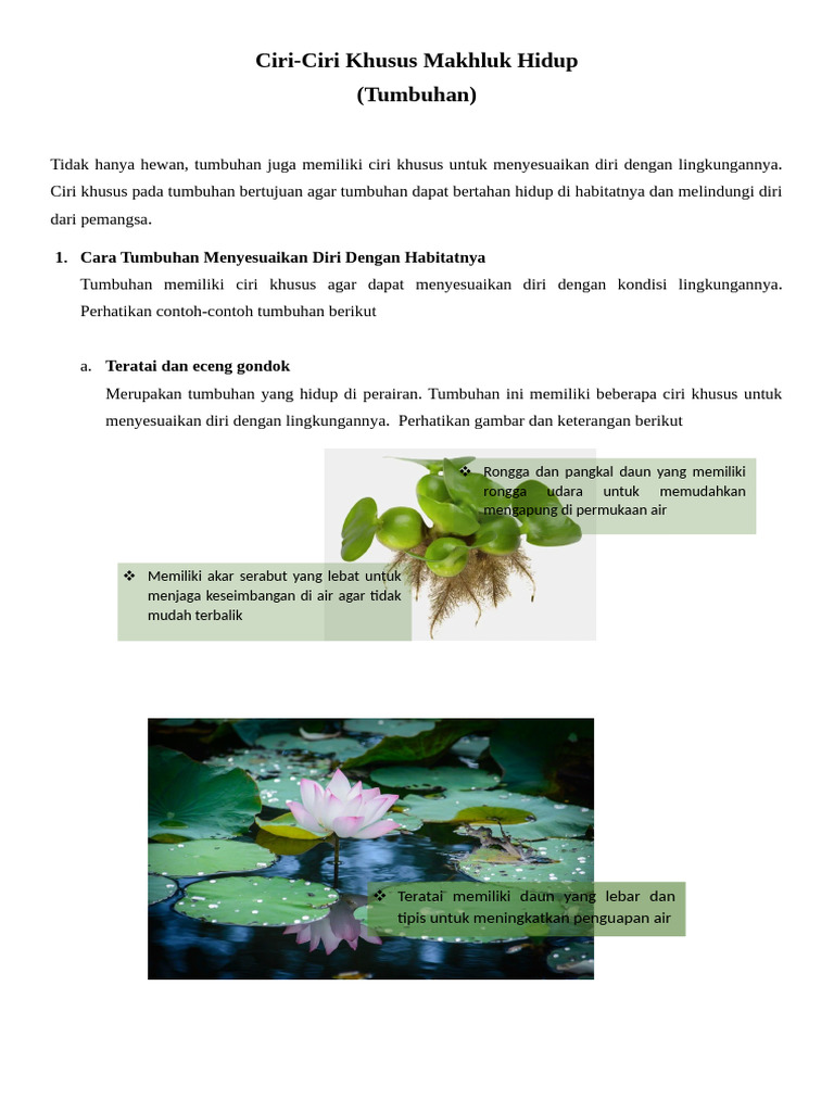 Materi Ciri Khusus Tumbuhan | PDF