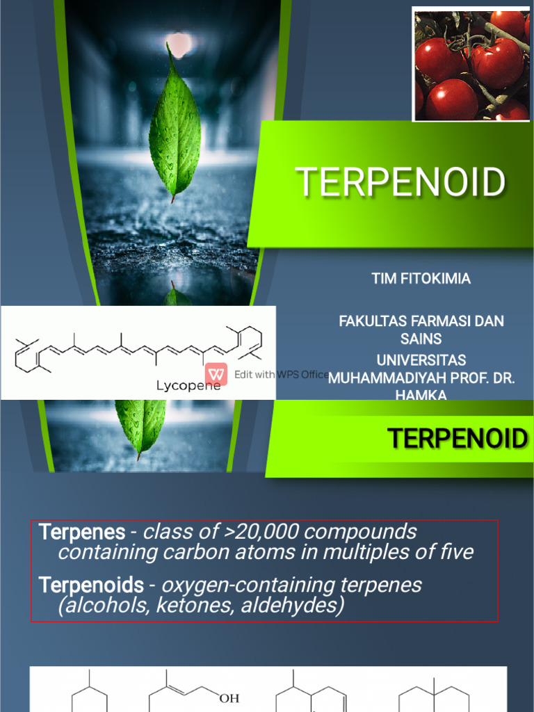 14 Terpen Steroid - 2021 | PDF
