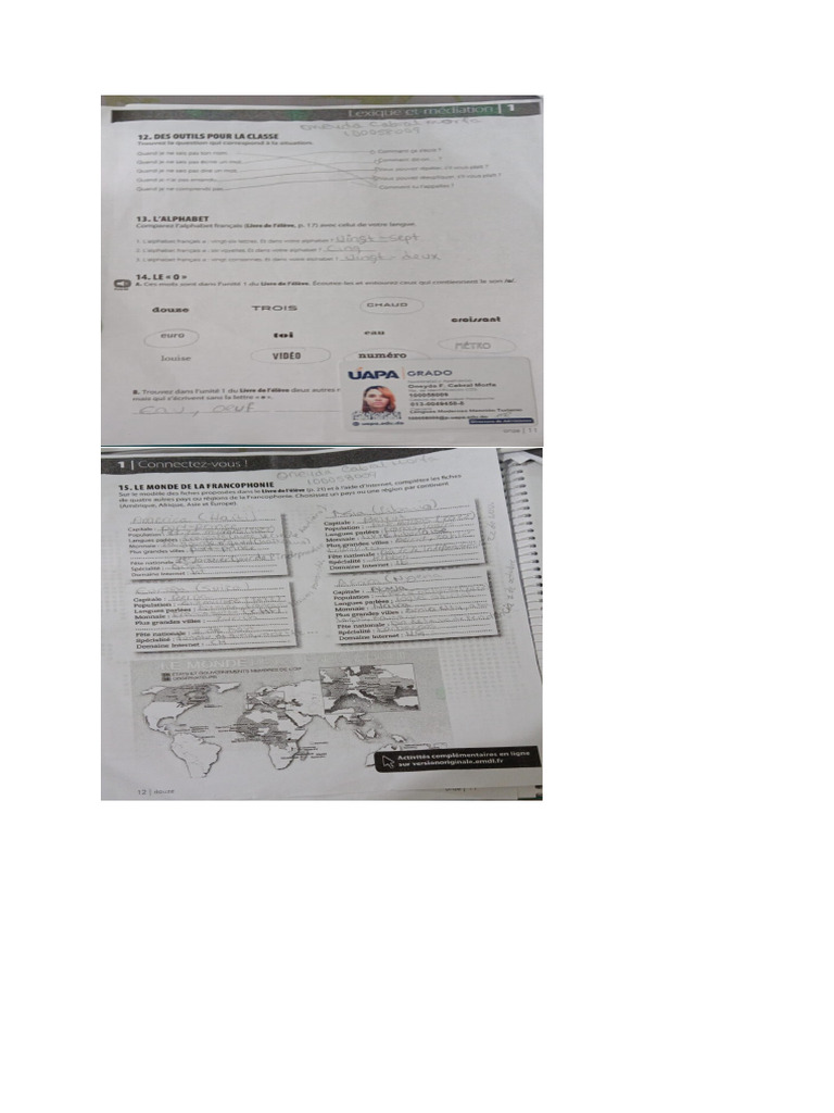 Tarea IV Frances | PDF